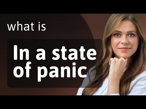 Understanding "In a State of Panic": A Guide for English Learners