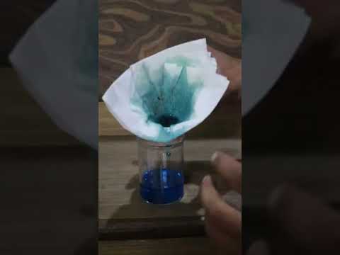 ❄️Crystallization❄️Class 9 Science Chapter 2 | #shorts #crystallization #science #class9