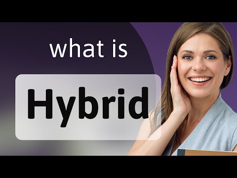 Hybrid • definition of HYBRID