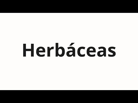 How to pronounce Herbáceas