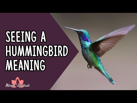 Seeing a Hummingbird Meaning