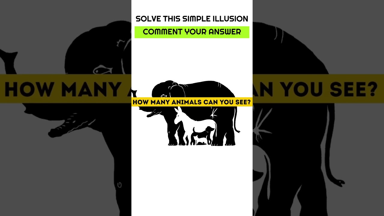 Ultimate animal spotting challenge!- How many can you see in this illusion?