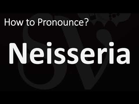 How to Pronounce Neisseria? (CORRECTLY)