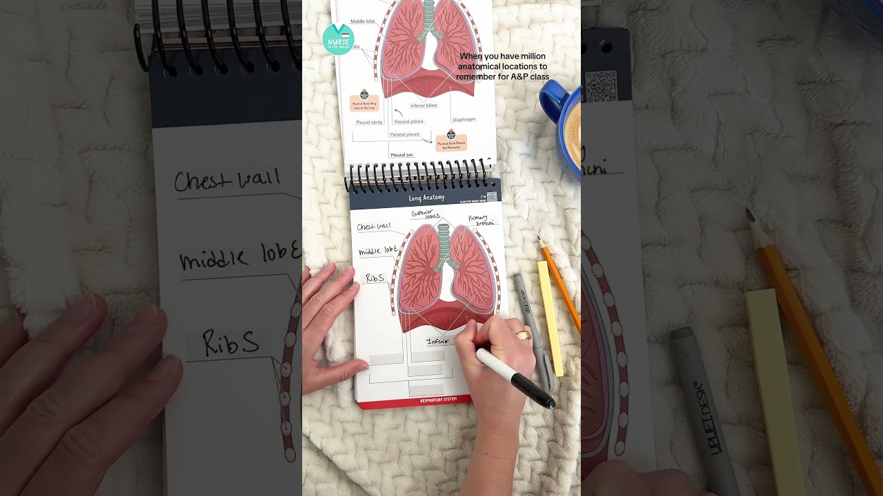Not your average workbook… Study, label, erase, retain ✨🧠🦴 #RN #BSN #futurenurse