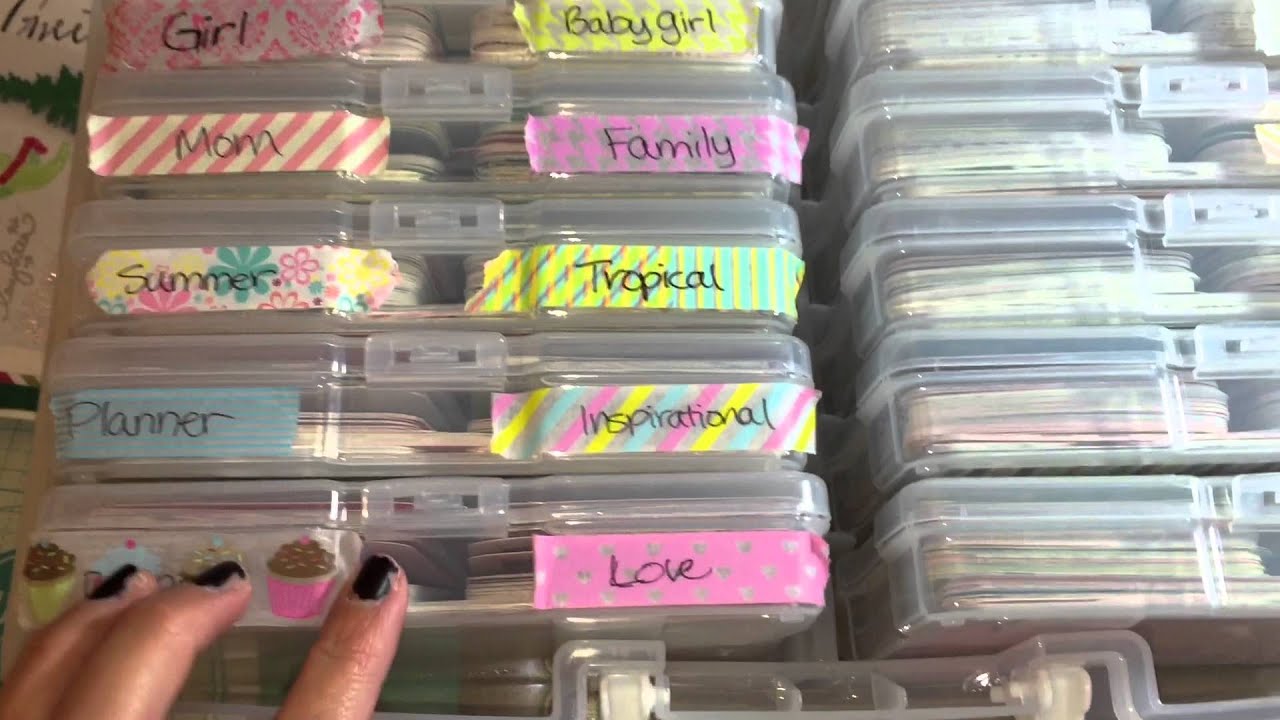 Organizational Series: Iris Cases