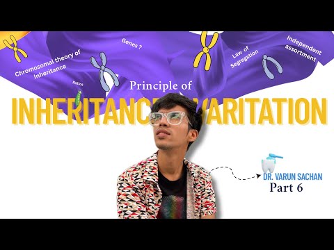 Genetics made Easy | Chromosomal theory of Inheritance l Basic to Advance NEET 2025 l Class 12th