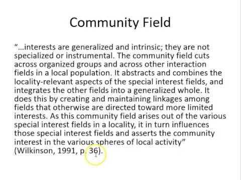 Interactionist Theory of Community