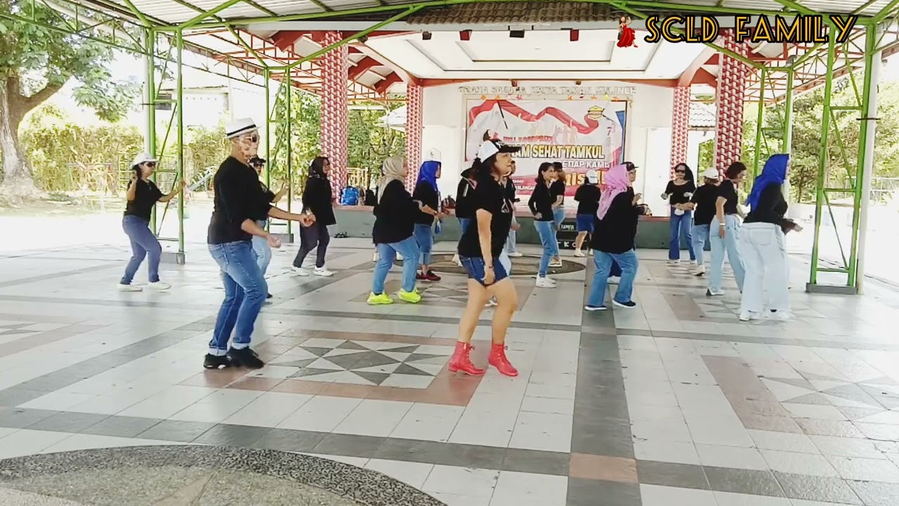 Believe Remix - Line Dance // High Beginner