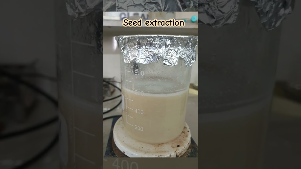 #Moringa seeds#seed extraction# green synthesis#biochemistry#Moringa oleifera#viral # research work