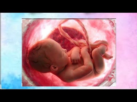 Basic terminologies of obstetrics and gynecology (in Hindi ) ,for nursing students , easy notes ,GNM