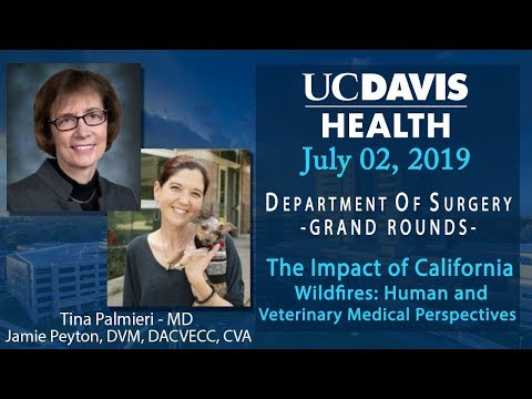 The Impact of California Wildfires: Human & Veterinary Medical Perspectives - Tina Palmieri, MD
