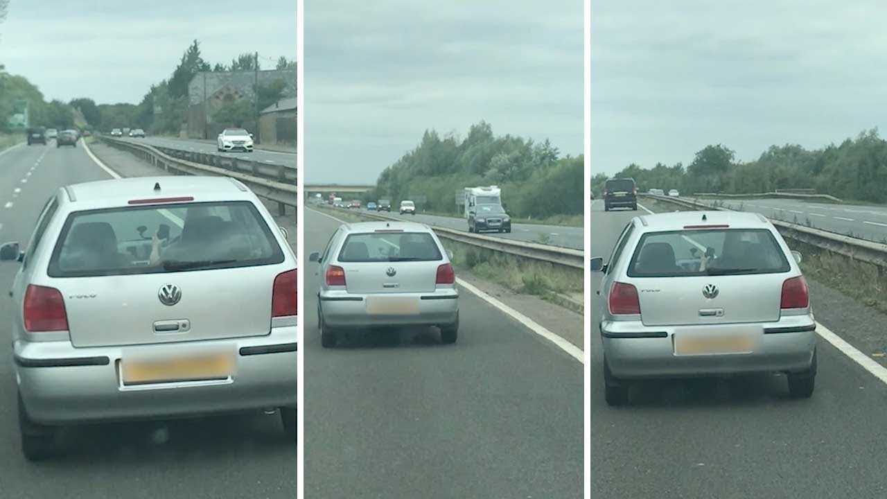 Furious Passenger Captures Woman Texting While Driving