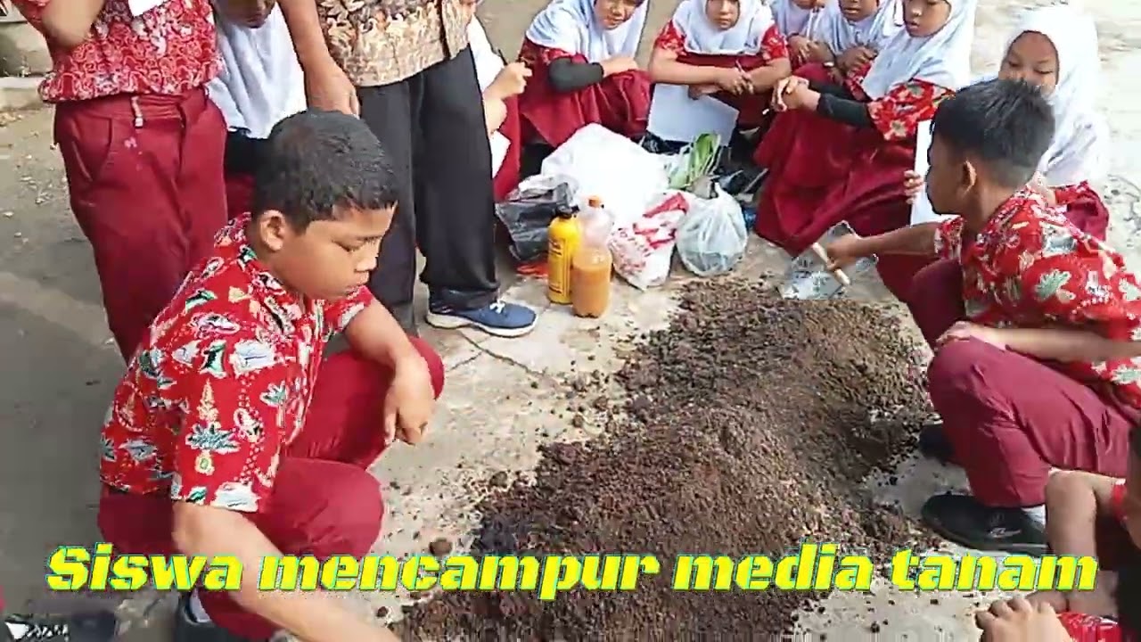 Apotek Hidup di halaman Sekolahku
