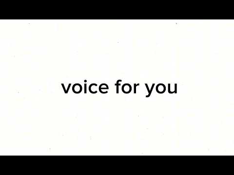 V- Singularity lyrics