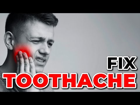 The Toothache Plant: How To Stop A Toothache & Reduce Toothache Pain (Spilanthes Acmella)