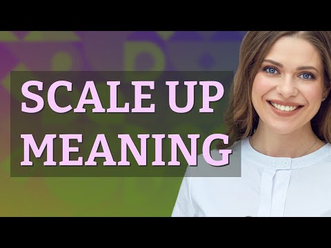 Scale up | meaning of Scale up
