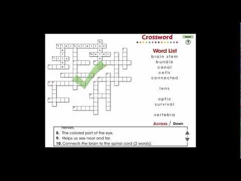 CC7550 Senses, Nervous & Respiratory Systems: Crossword Mini - 2013