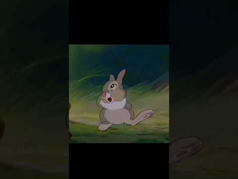 When Thumper Said Something and they dubbed in HINDI.... 😭❤️