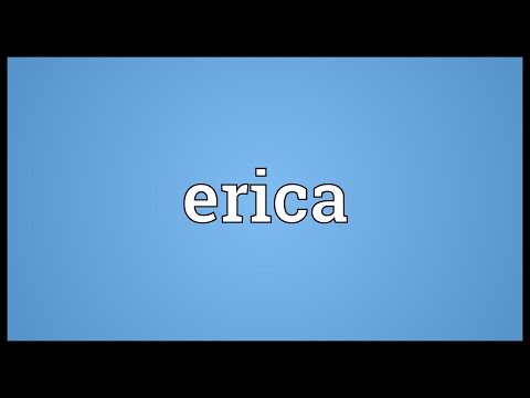 Erica Meaning