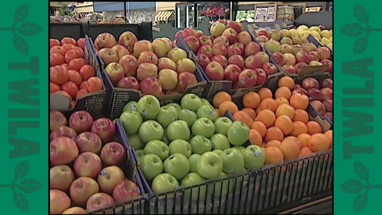 Stretching Your Food Dollar