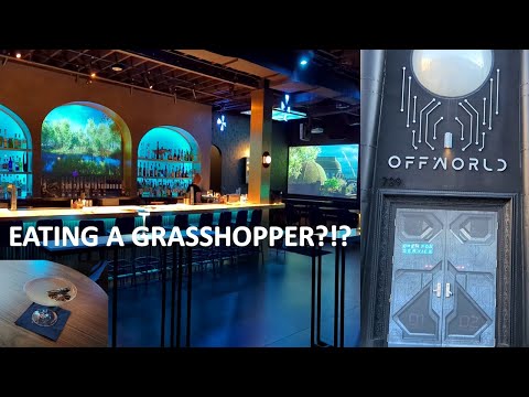Toronto Vlog - Offworld Bar is OTHERWORLDLY!