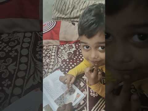 Snake Information in Marathi