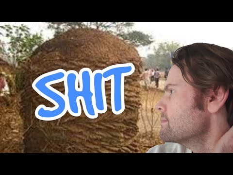 How to us the English word SHIT