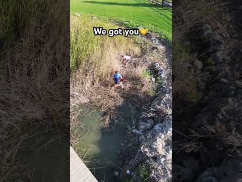 Check out how we clean ponds! #shorts #pond #lake