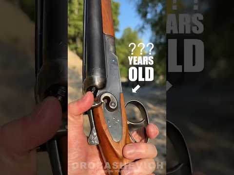 OLD DOUBLE BARREL SHOTGUN #shorts #gun #shotgun #review #weapon #usa #12gauge #hunting #cartridges