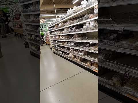 Herbal Section Review @ Natural Grocers