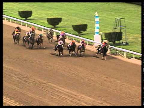 TVG Breeders' Cup Moment - Artax