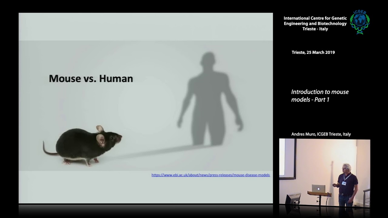 A. Muro - Introduction to mouse models – Part 1