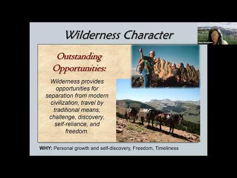 NWSI Understanding Wilderness Character