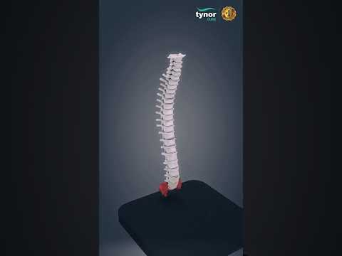 Perfect Choice for Tailbone Pain Relief - Tynor Coccyx Cushion Seat