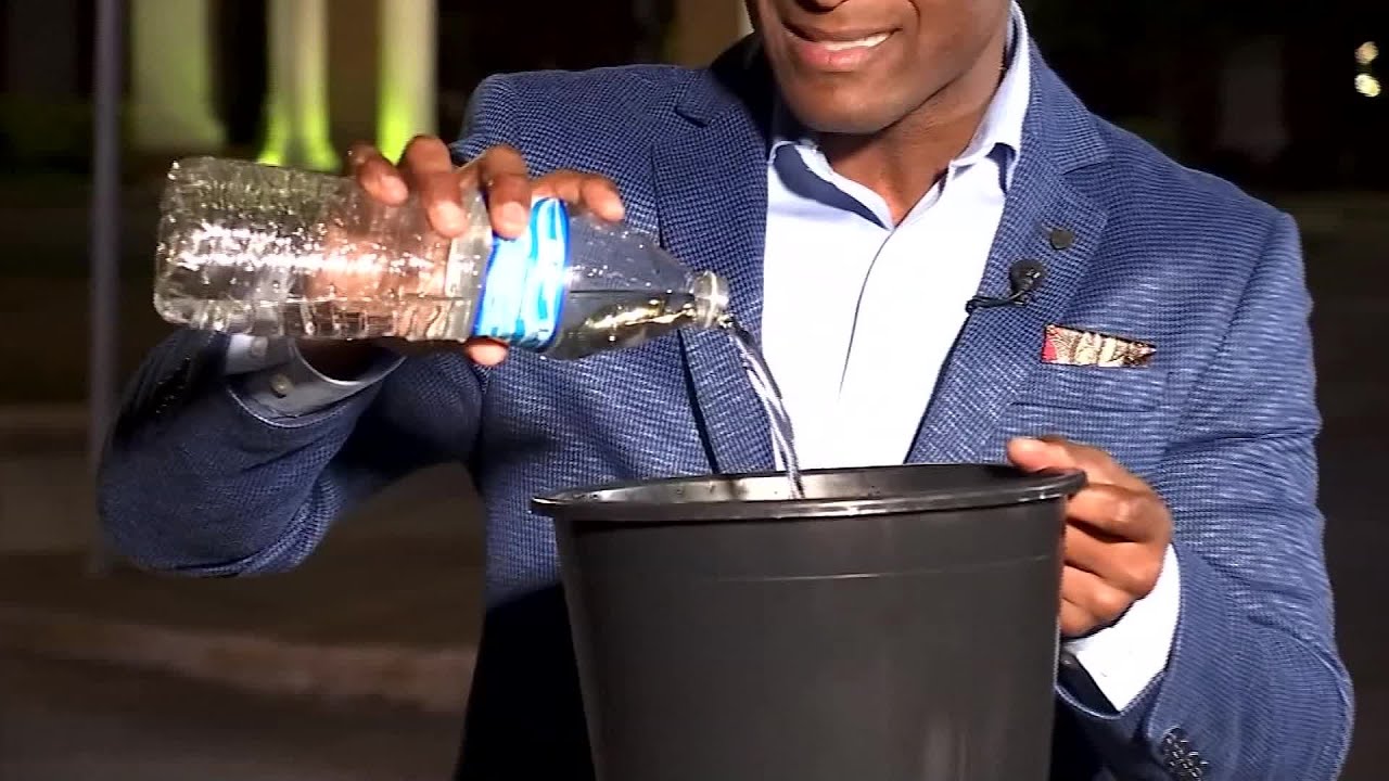 Georgia high school seniors expelled after posting racist viral video to social media