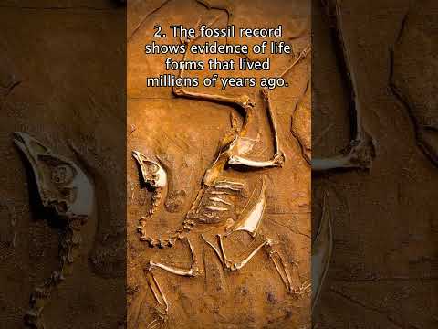 5 Reasons Earth Is Not 6,000 Years Old - Checkmate Young Earth Creationists