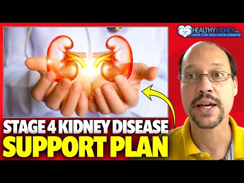 What is Stage 4 Kidney Disease Mean and What Plan To Support Kidney Health in Stage 4 Kidney Disease