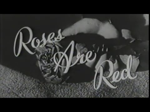 Roses Are Red (1947) 📽Film Noir Crime Drama📽 Peggy Knudsen, Patricia Knight, Don Castle