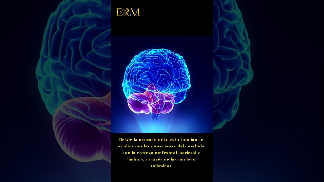 The cerebellum: its influence on cognitive processes.