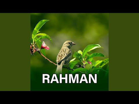 Rahman