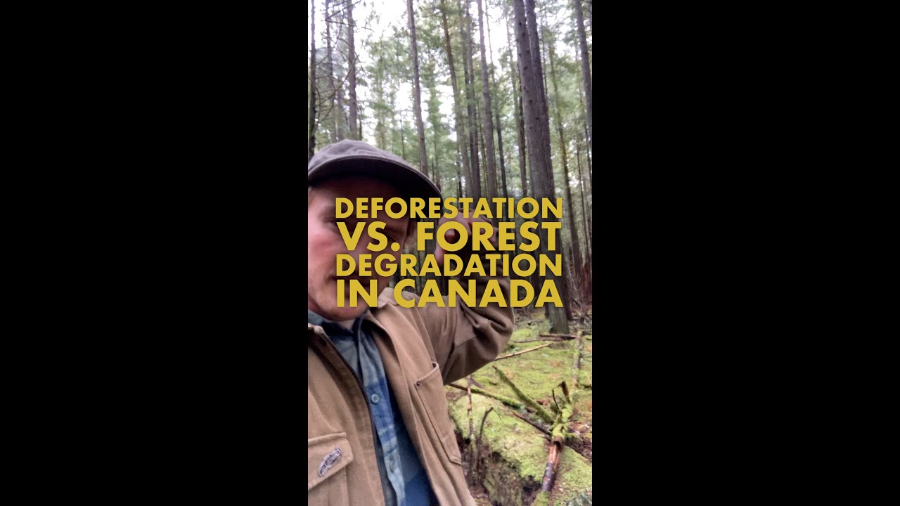 Deforestation vs Forest Degradation in Canada