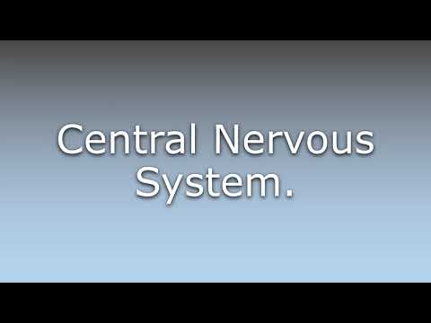 What does CNS mean?