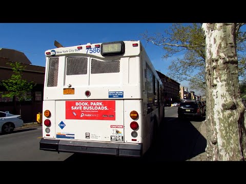 MTA New York City Bus: Various New Flyer & Orion CNG Buses on the B63 Bus.