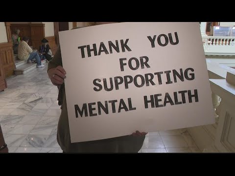 Georgia's Mental Health Parity Act | How families will benefit