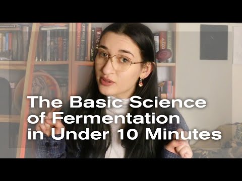 The Basic Science of Fermentation in Under Ten Minutes