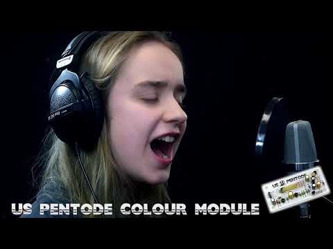 US Pentode Colour Module | DIYRE Colour Module Format | | Reverb UK
