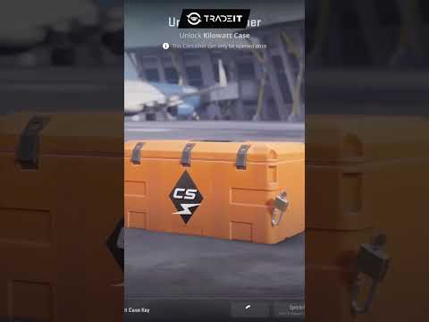 Renting Skins in CS2