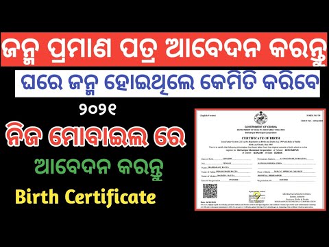 How To Apply Date Of Birth Certificate In Odisha | domiciliary birth registration | Online Apply
