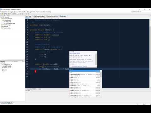 Java OOP Example: Classes and Objects