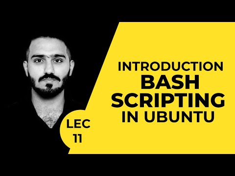 #11 Introduction to Bash Scripting | Ubuntu Course